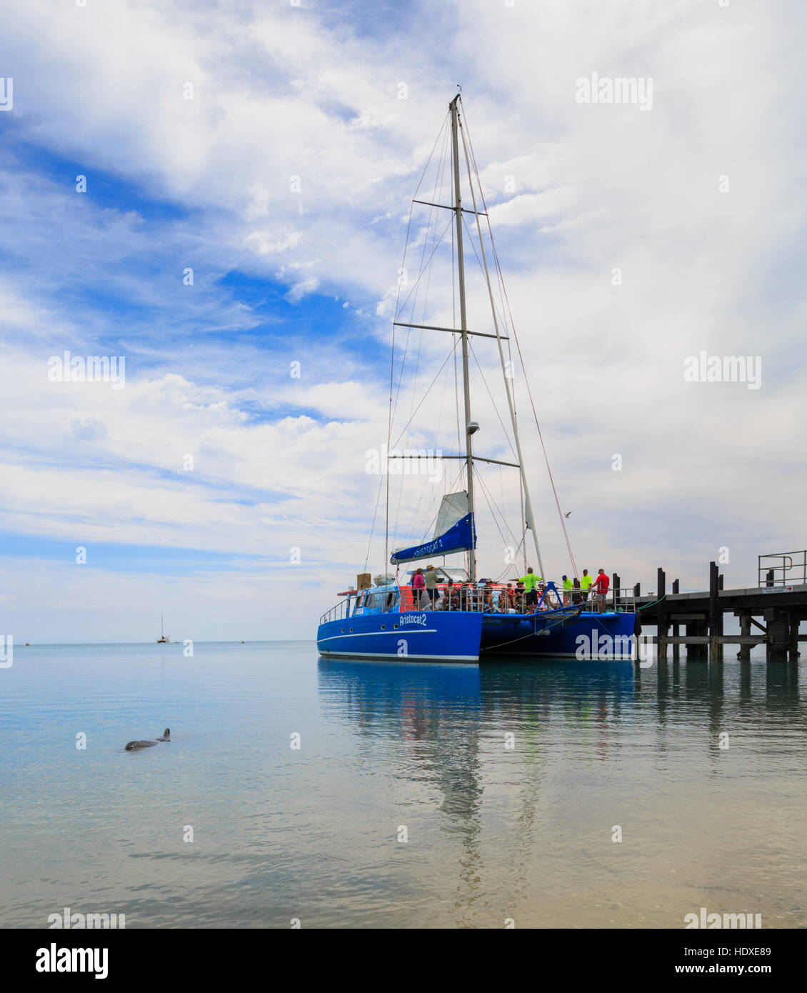 Aristocat 2 wildlife watching catamaran moored at Monkey Mia with a ...