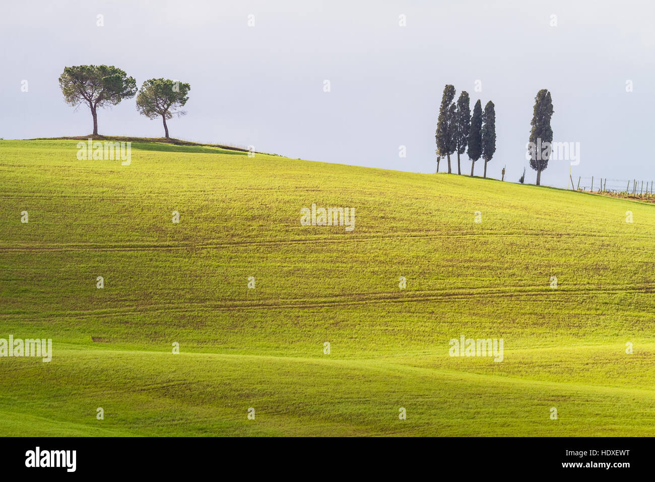Tuscan Landscape with hill, meadow and cypress in Val d'Orcia, Siena ...