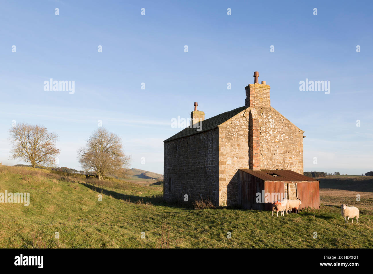 A derelict farmhouse or farm cottage, with lean-to sheep shelter, at ...