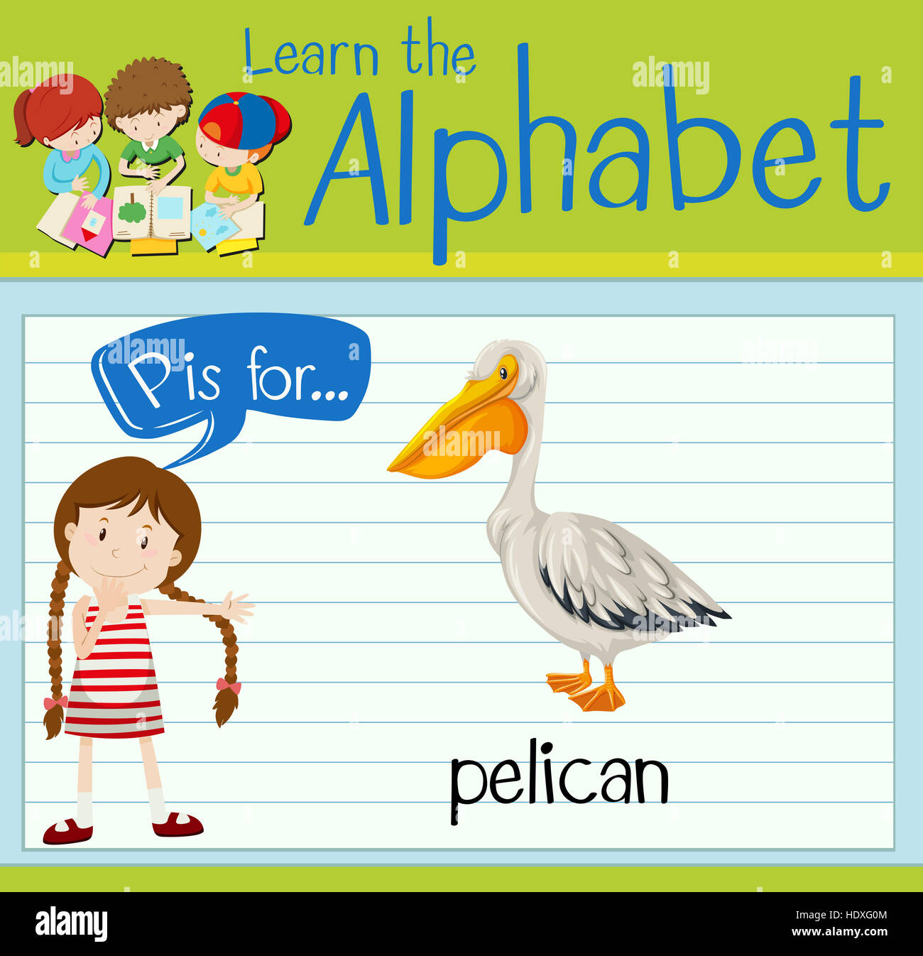 Flashcard letter P is for pelican illustration Stock Photo - Alamy