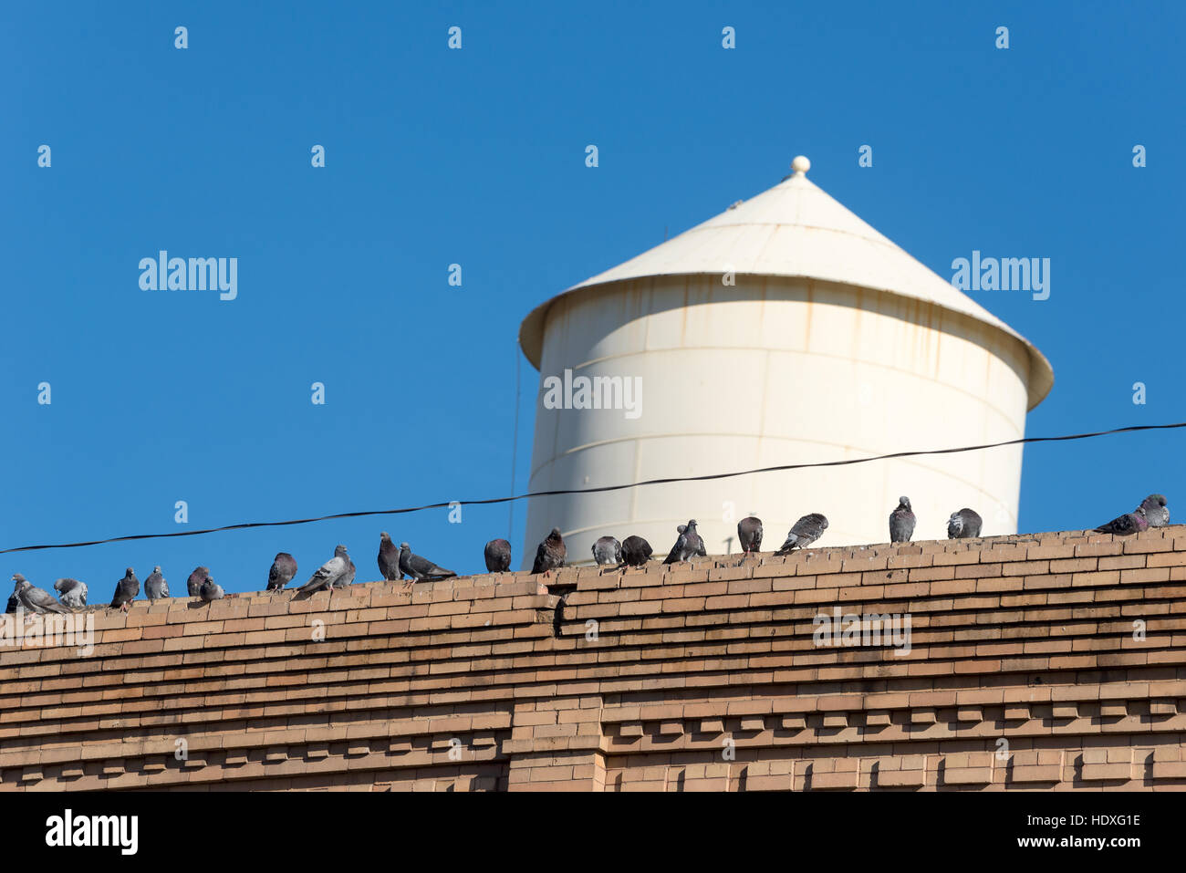 Roof with pigeons hi-res stock photography and images - Alamy