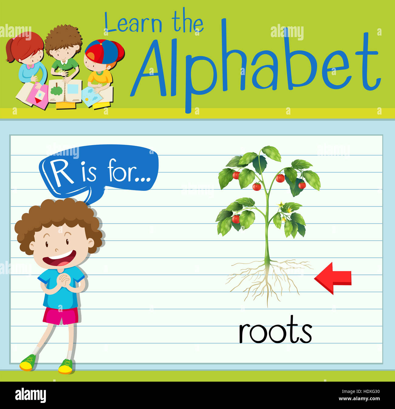 Flashcard letter R is for roots illustration Stock Photo - Alamy