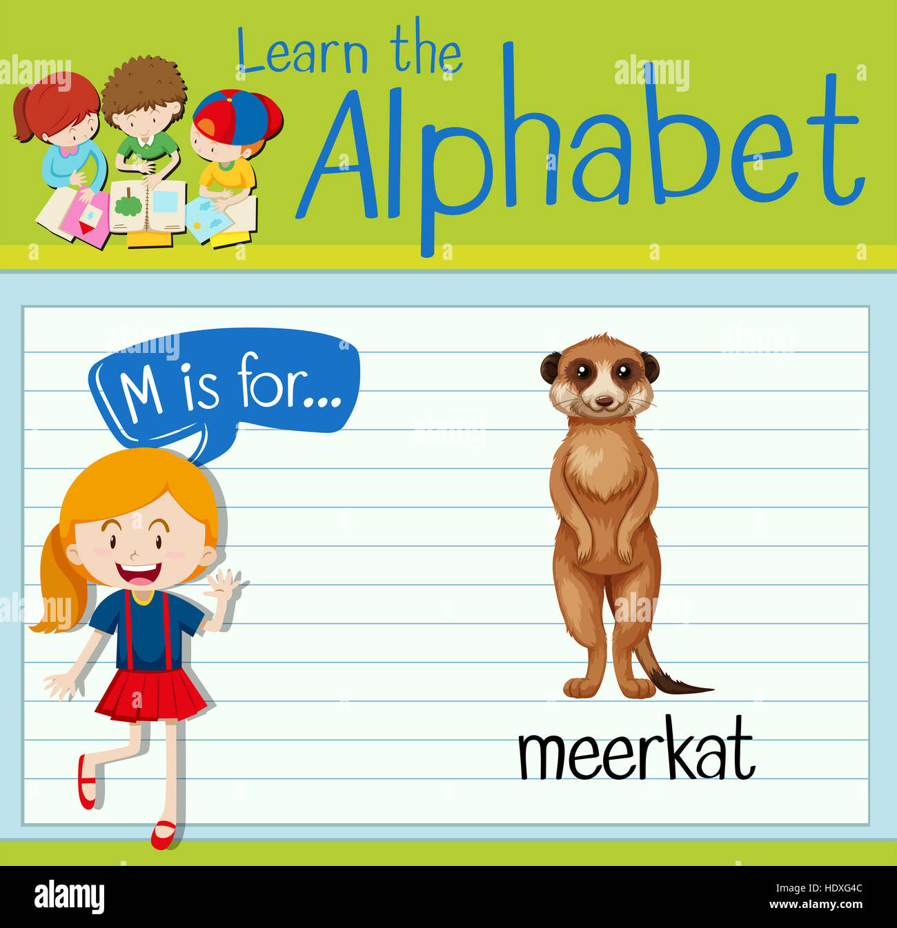 Flashcard letter M is for meerkat illustration Stock Photo - Alamy
