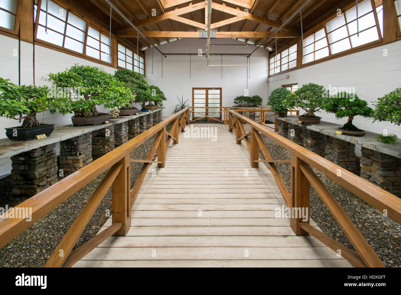 inside a bonsai garden Stock Photo - Alamy