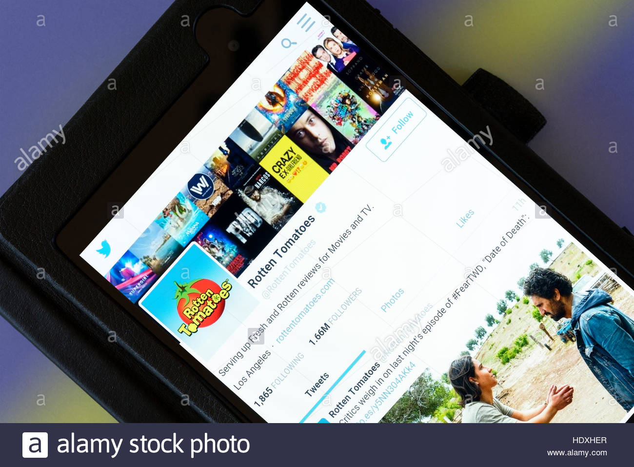 Rotten Tomatoes High Resolution Stock Photography and Images - Alamy