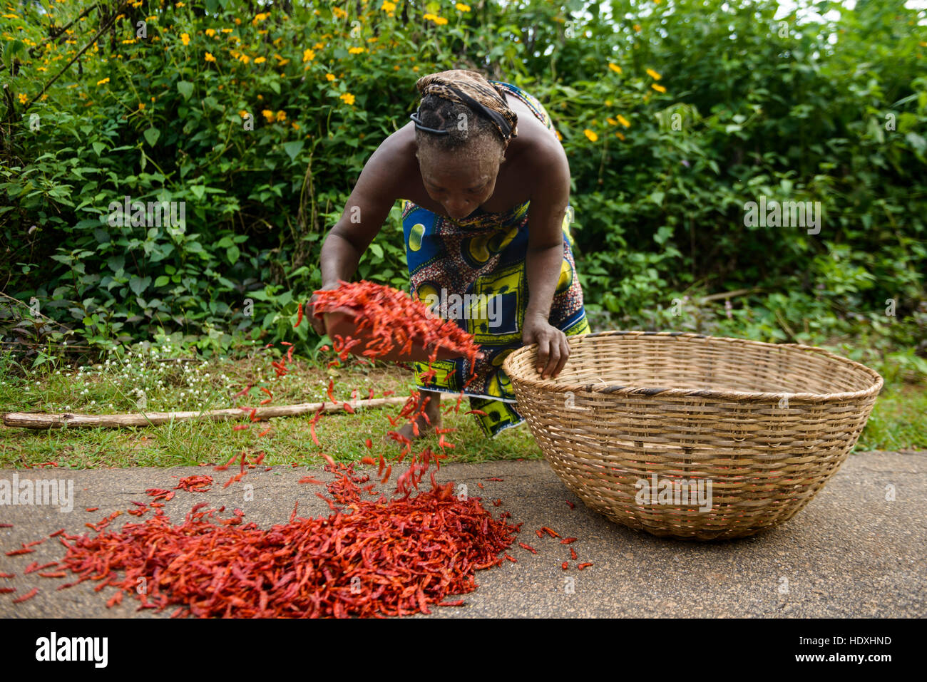 Nigerian people hi-res stock photography and images - Alamy