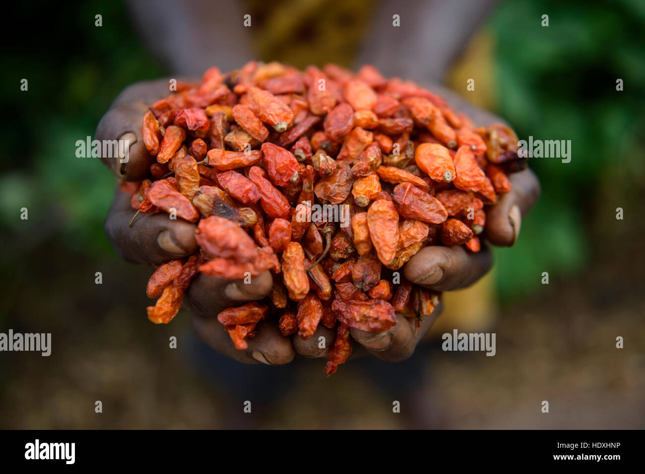Nigerian Food High Resolution Stock Photography and Images - Alamy