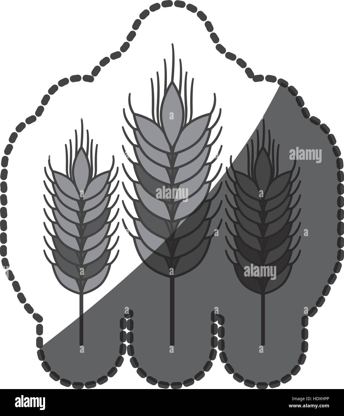 Wheat ear icon. Food grain agriculture and natural theme. Isolated ...