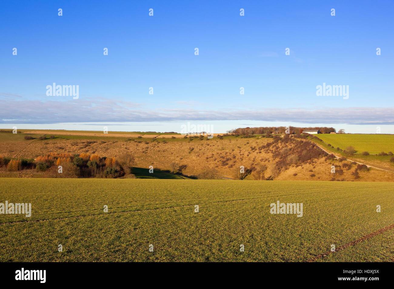 Seedling cereal crops and scenic grassy valleys of the patchwork ...