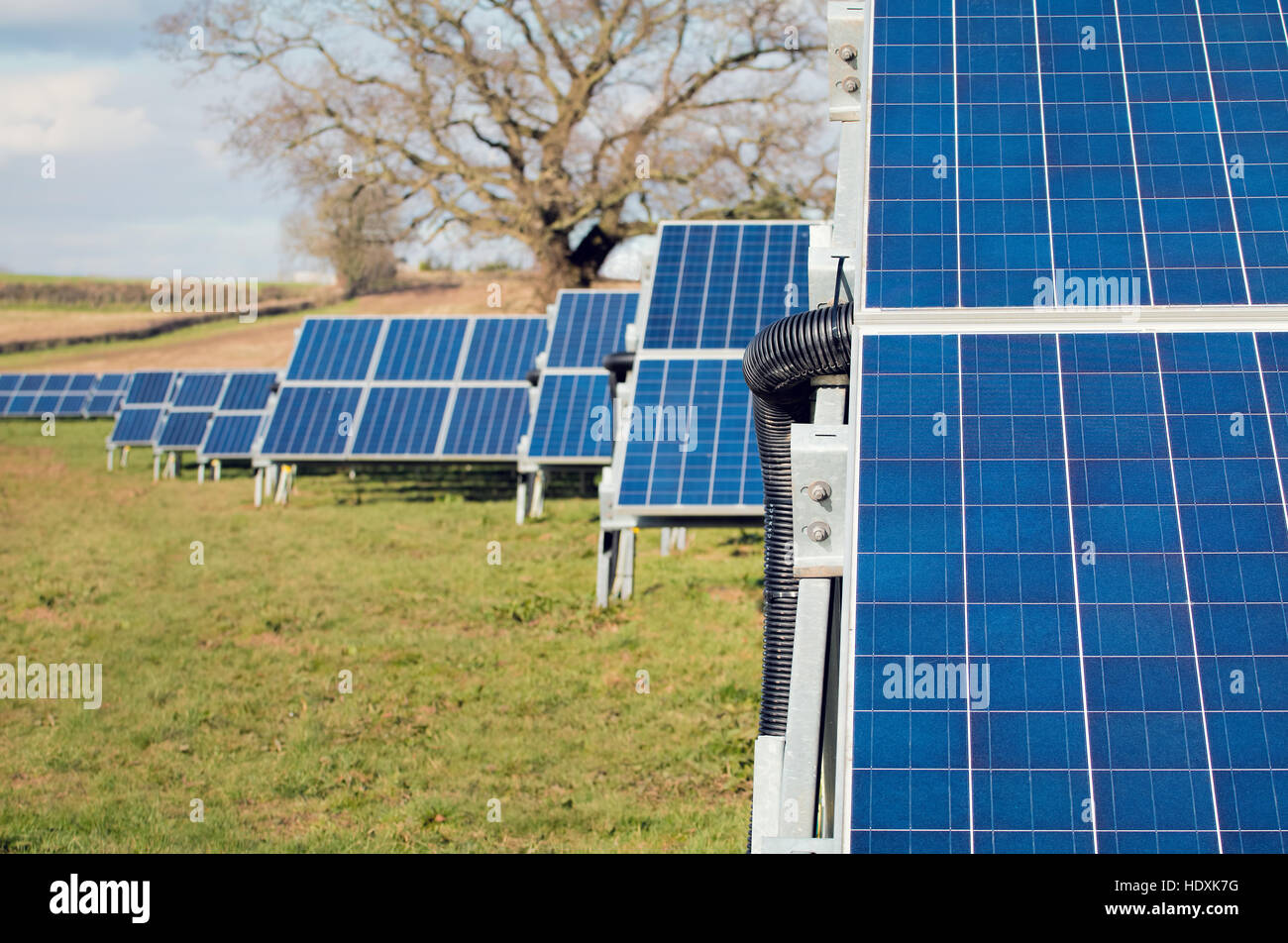 Solar Panels at solar farm power plant. Renewable sustainable energy ...