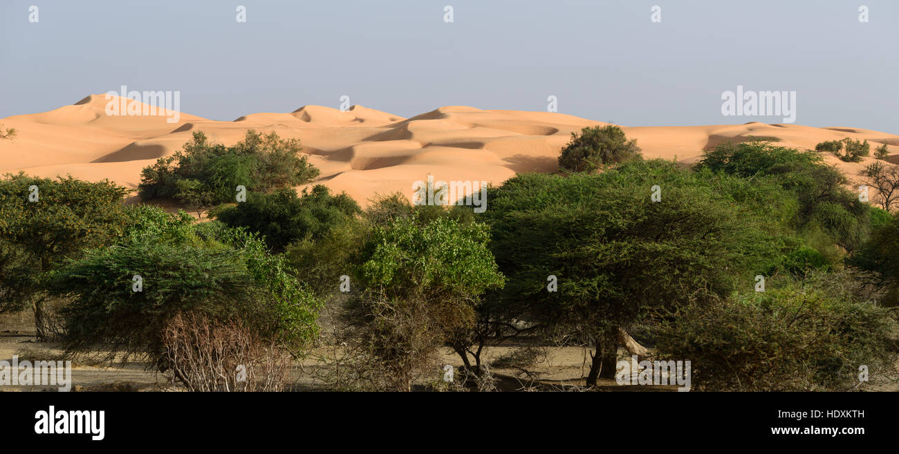 Mauritania desert hi-res stock photography and images - Alamy