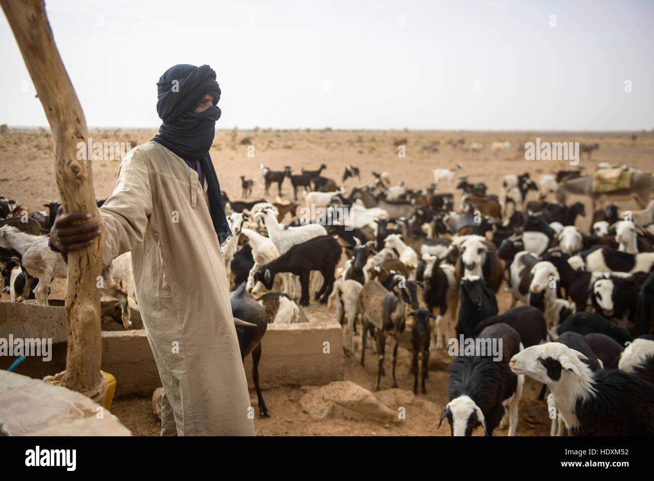 Nomad wearing turban hi-res stock photography and images - Alamy