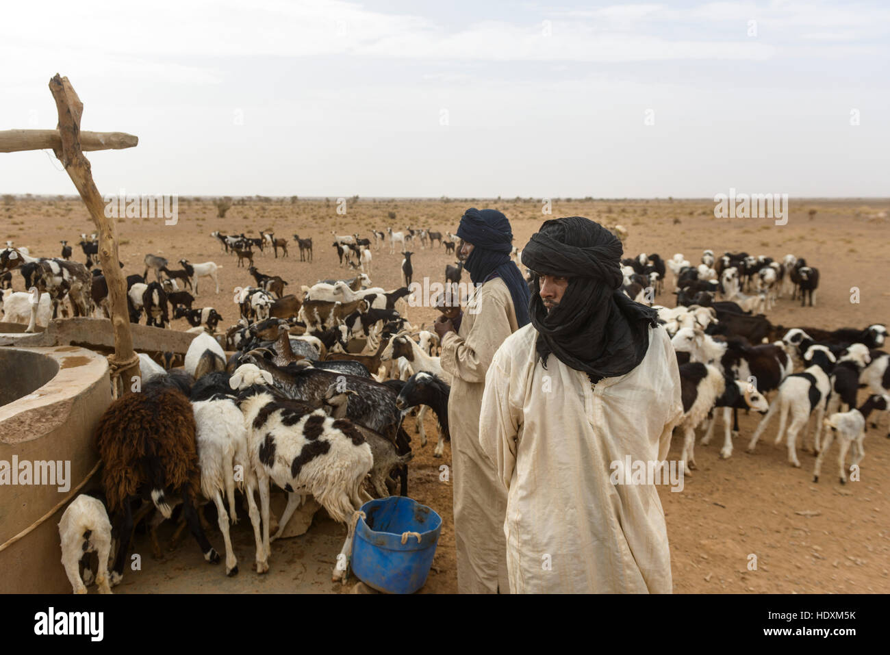 Nomad Wearing Turban High Resolution Stock Photography and Images - Alamy