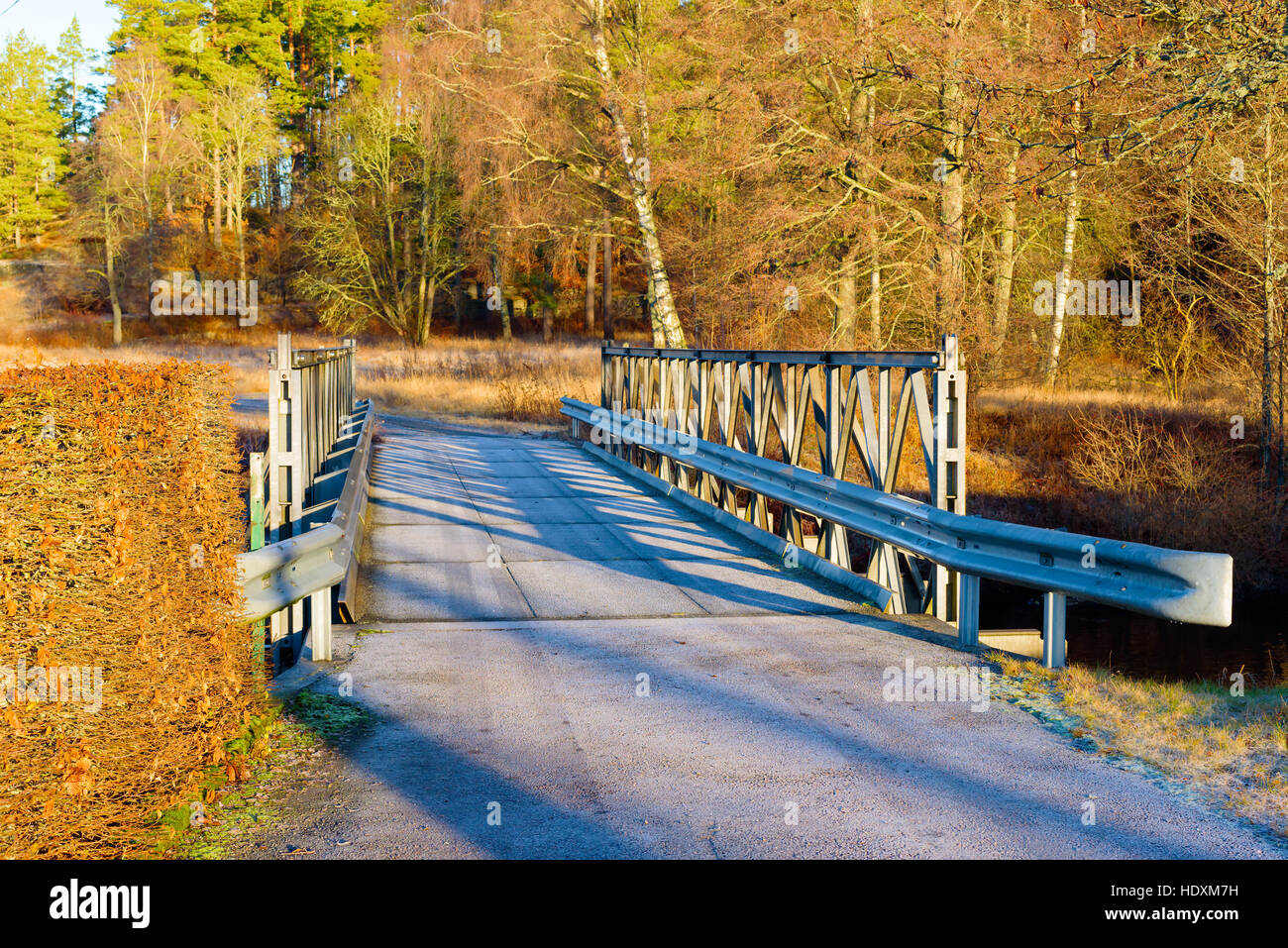 Narrow and frosty road bridge over a small river with forest in the ...