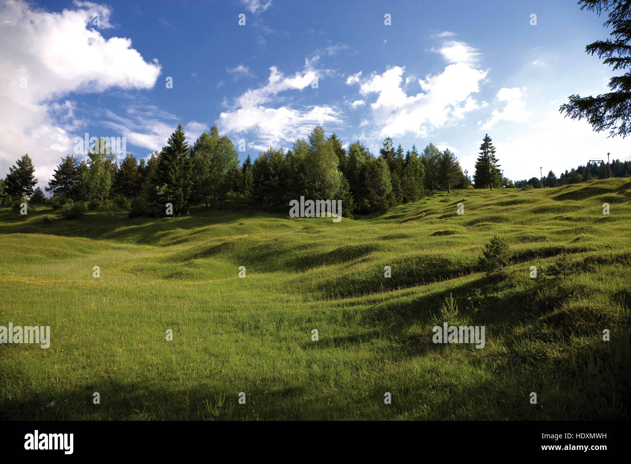 Buckelwiese, literally hummocky meadow, Werdenfelser Land, Upper ...