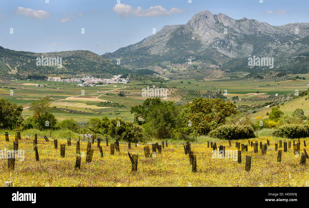 Andalucia countryside, Spain Stock Photo - Alamy