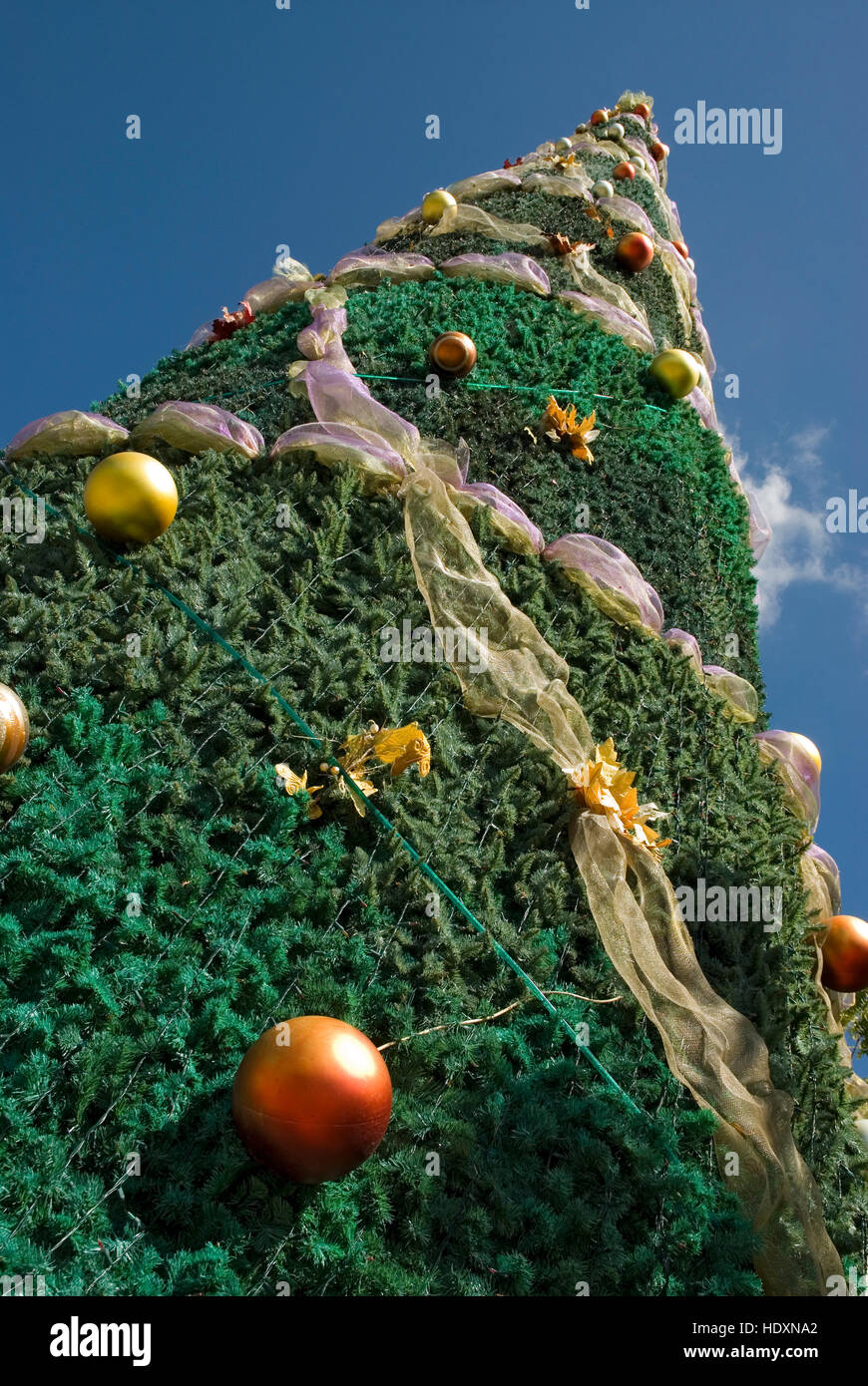 Christmas tree, El Seibo, Dominican Republic, Caribbean Stock Photo - Alamy