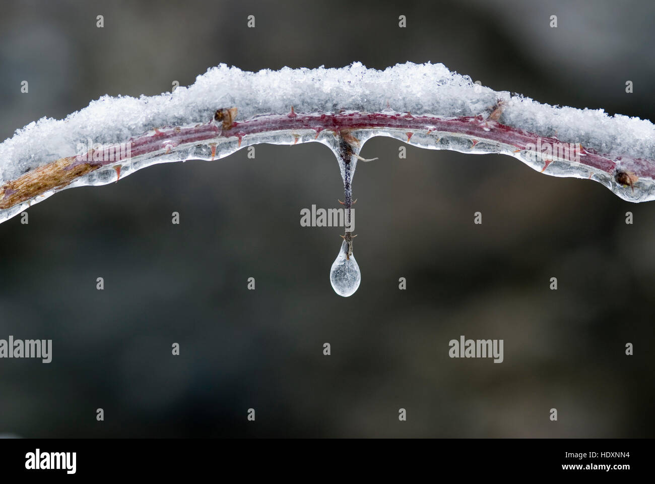 Frozen water drop Stock Photo - Alamy