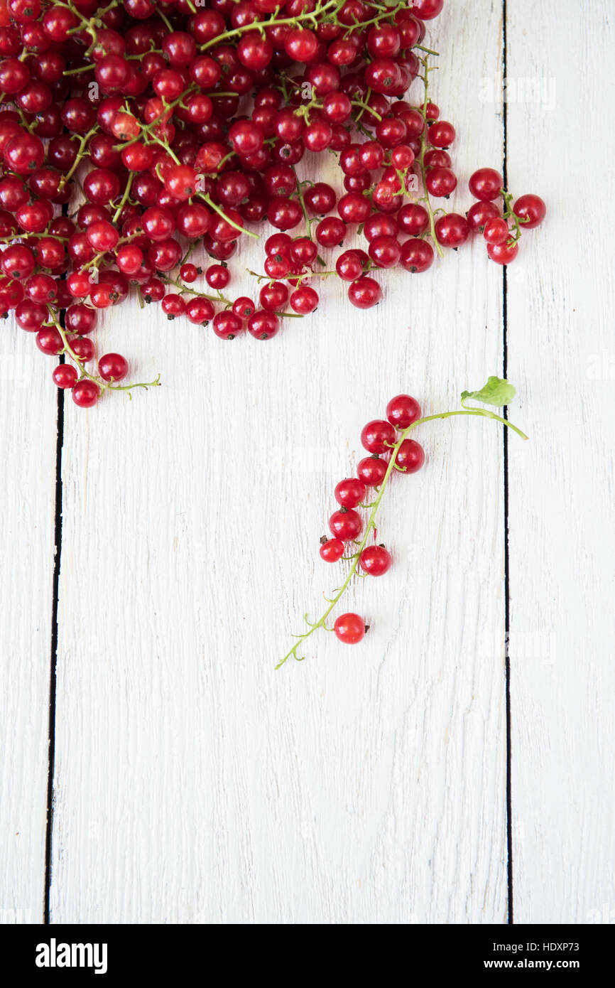 Fresh red currants Stock Photo - Alamy