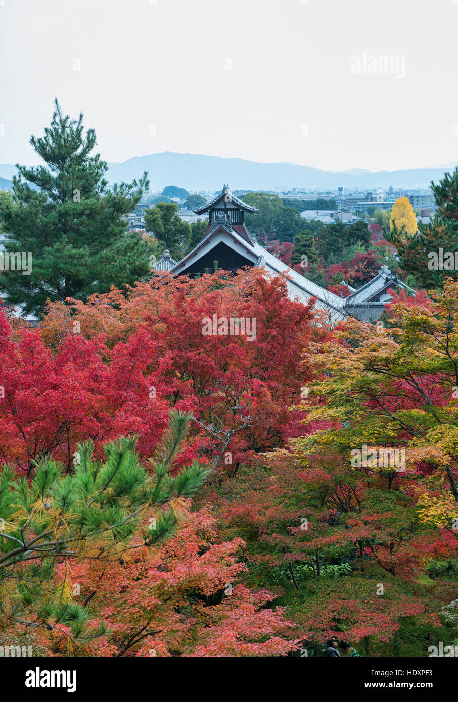 Autumn leaves at Tenryu-ji Temple, Kyoto, Japan Stock Photo - Alamy