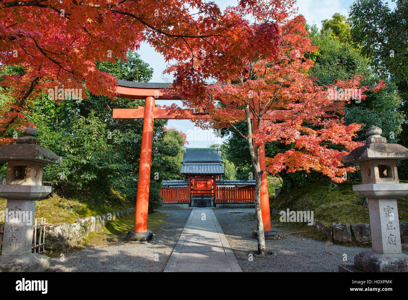 Autumn leaves at Tenryu-ji Temple, Kyoto, Japan Stock Photo: 129051683 ...