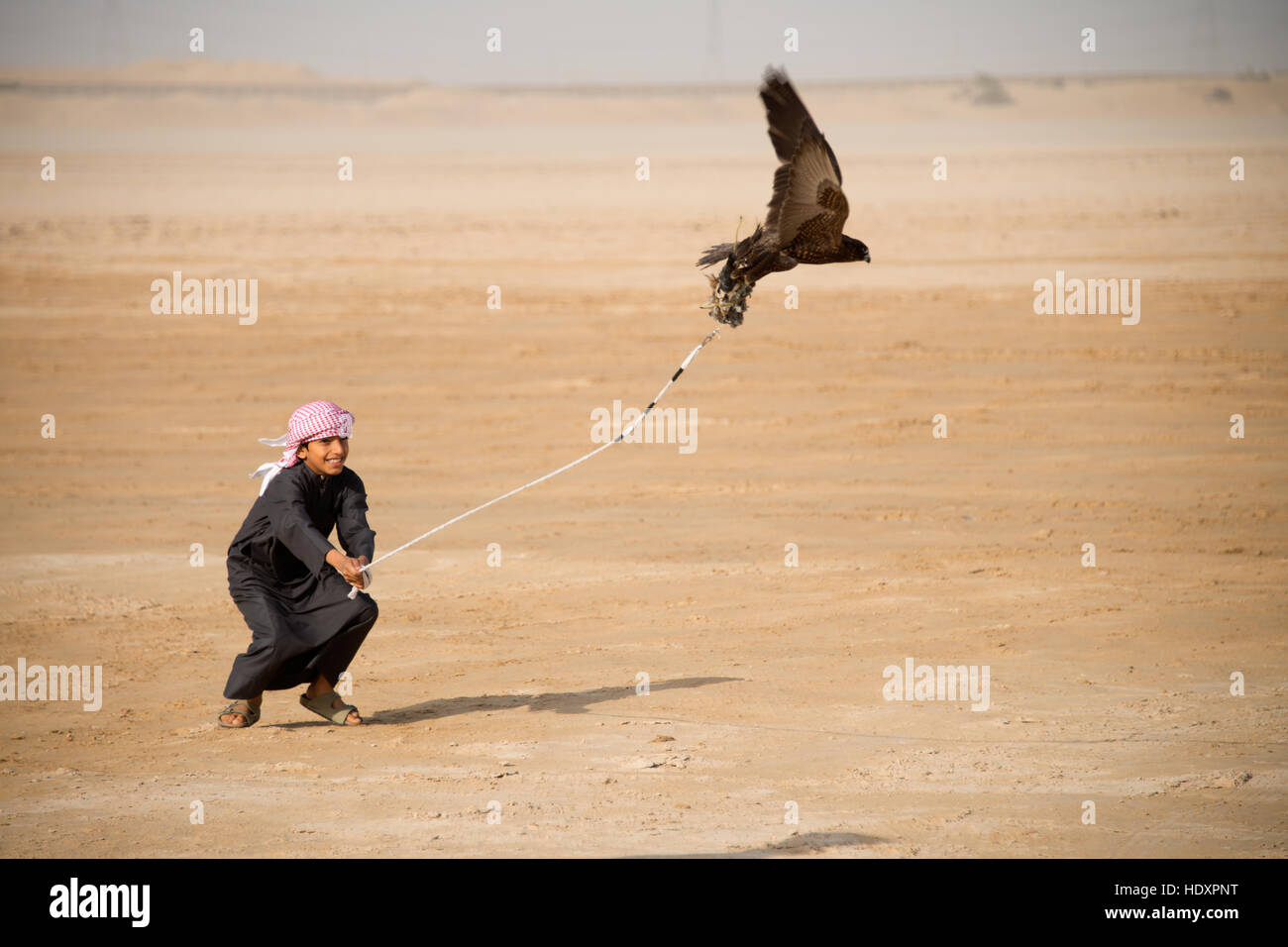 Boy with falcon during falconry race Stock Photo - Alamy