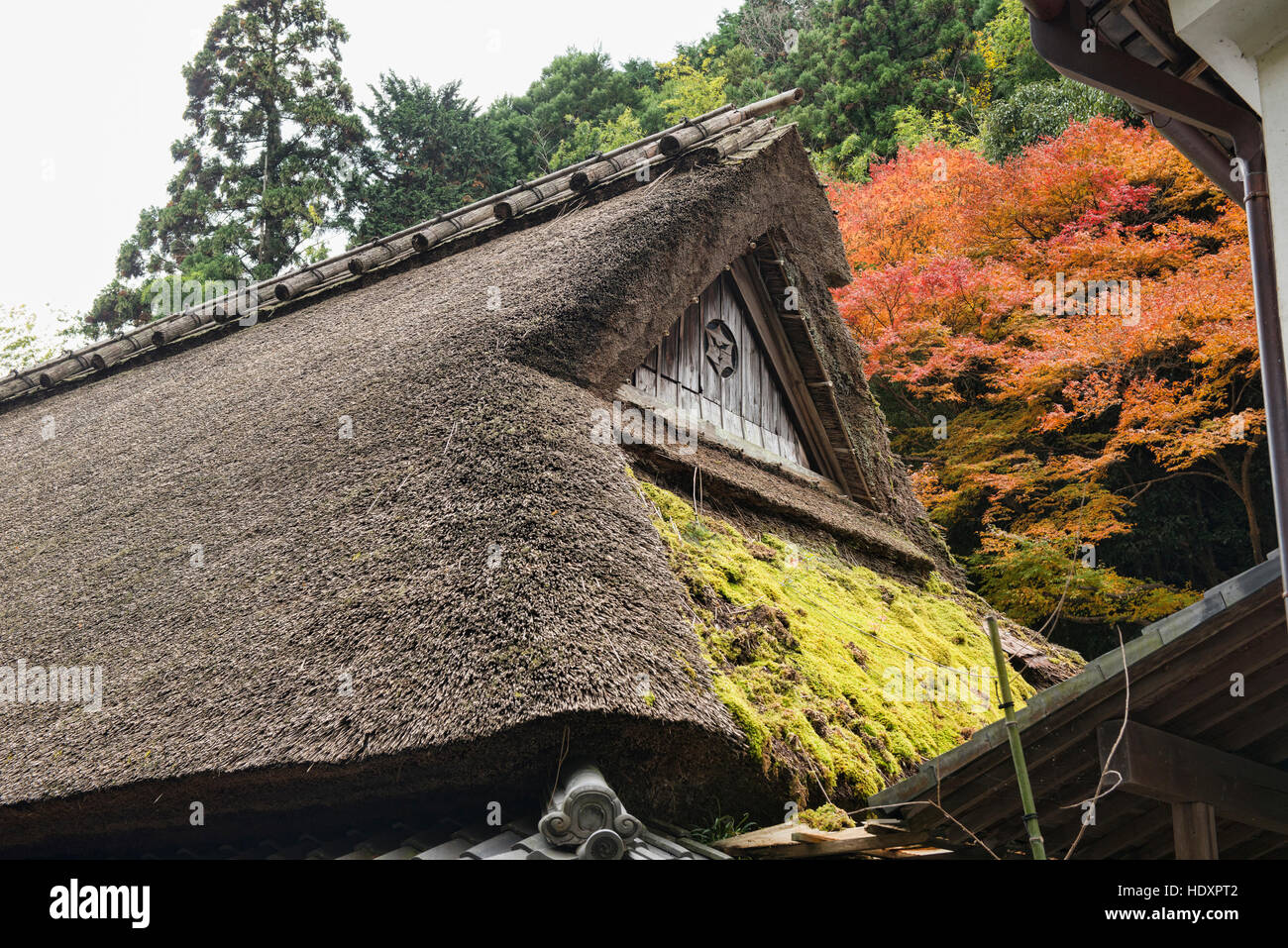 Traditional thatched roof home, Arashiyama, Kyoto, Japan Stock Photo ...