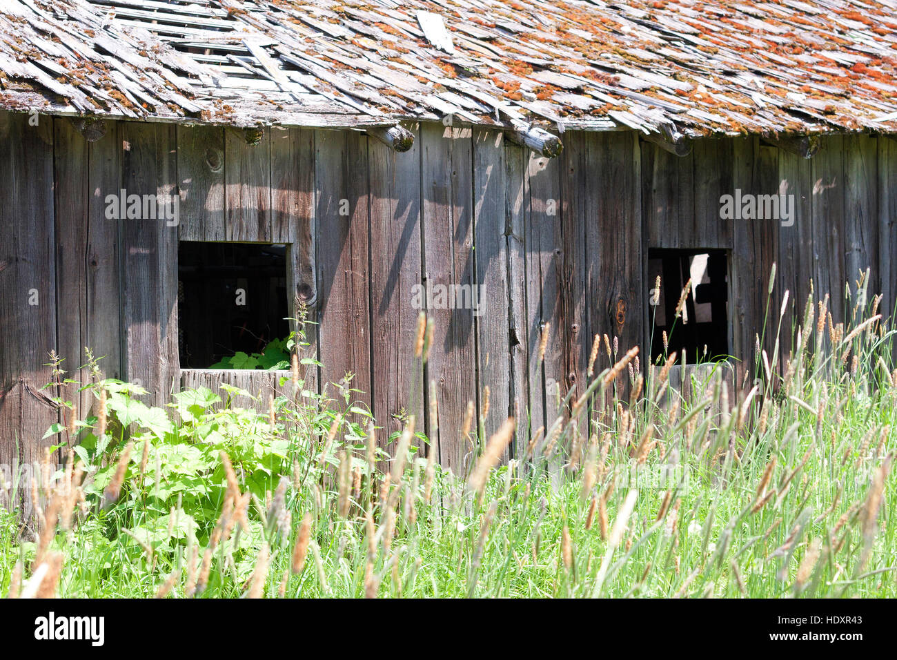 Old abandoned building shows hi-res stock photography and images - Alamy