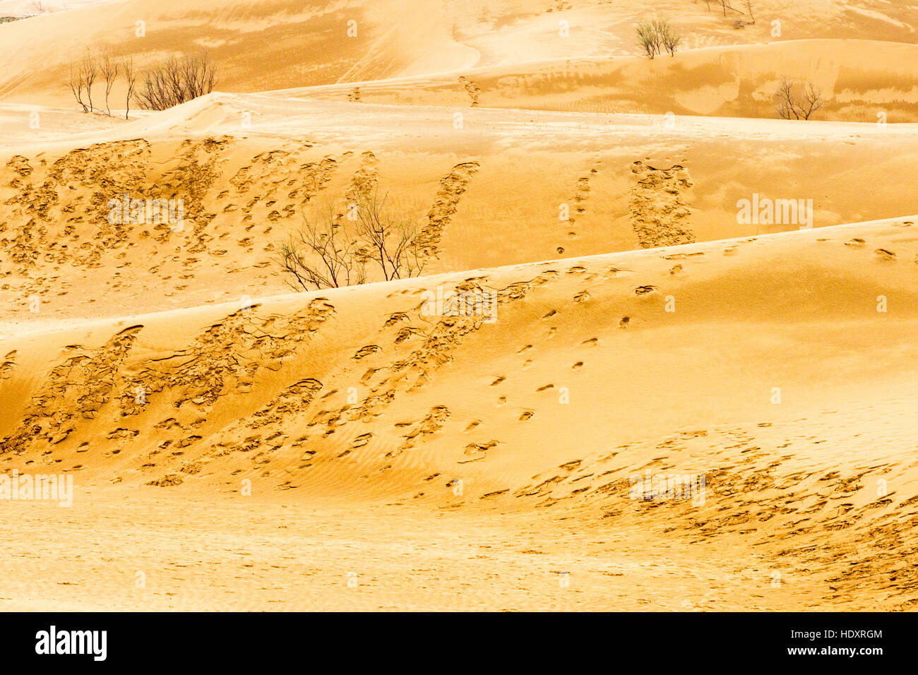 Footprints in the desert at Shapotou Scenic Area, Zhongwei, Ningxia ...