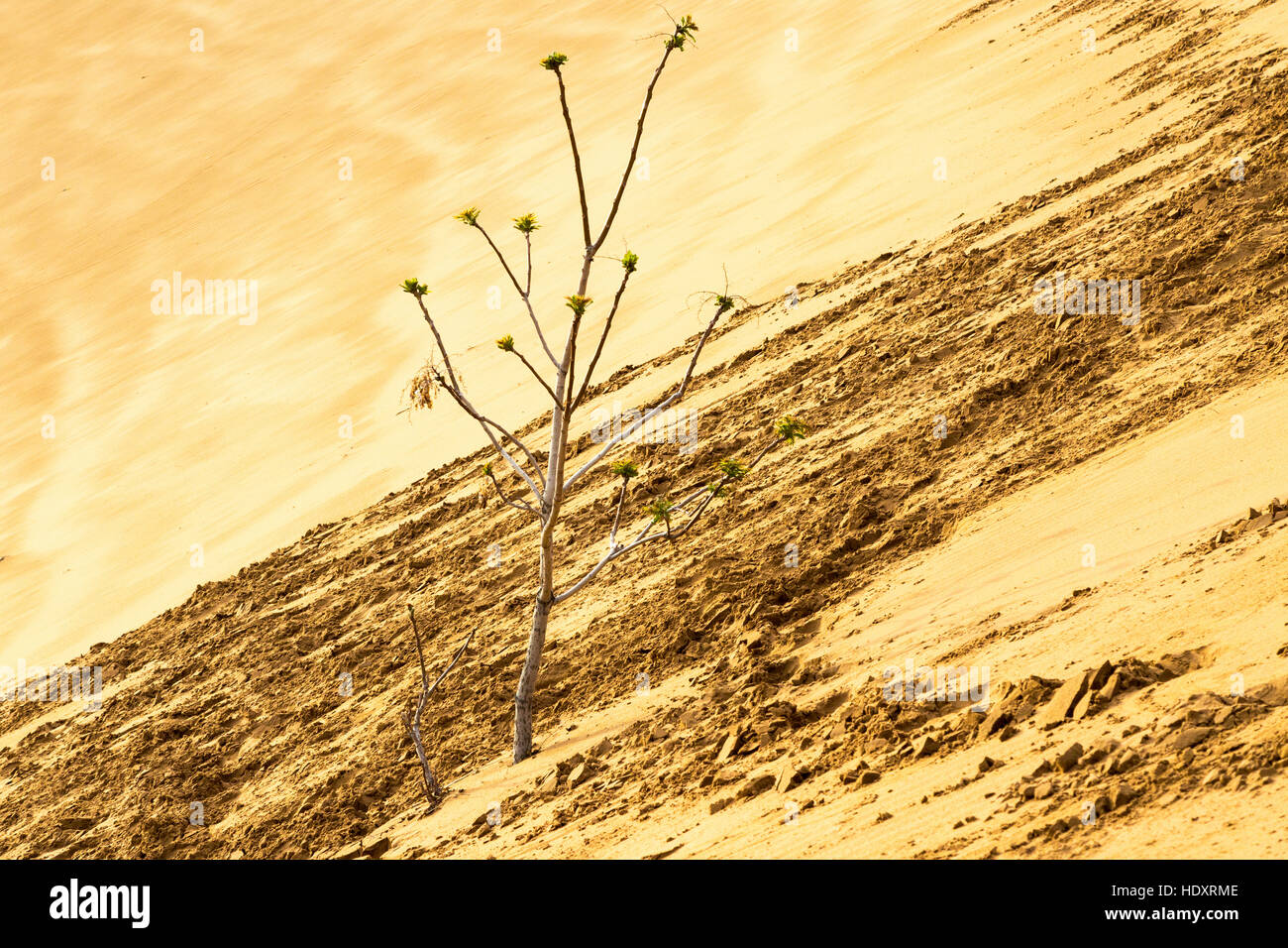 Desert at Shapotou Scenic Area, Zhongwei, Ningxia, China Stock Photo ...