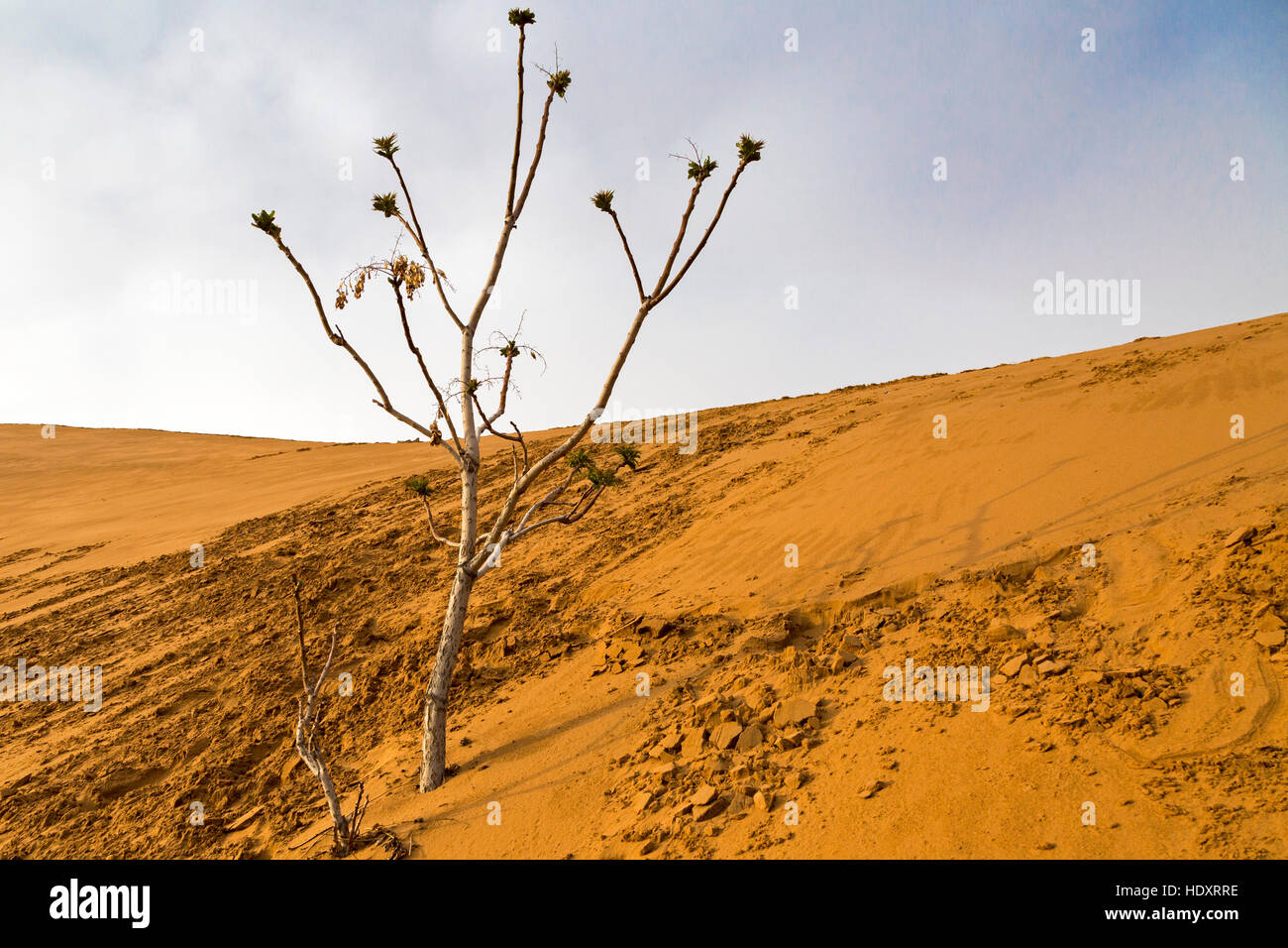 Desert at Shapotou Scenic Area, Zhongwei, Ningxia, China Stock Photo ...