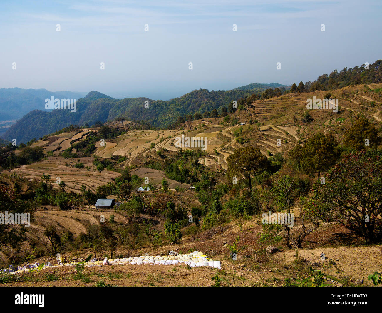 Terraced fields on a village on the Kumaon Hills as seen from the road ...
