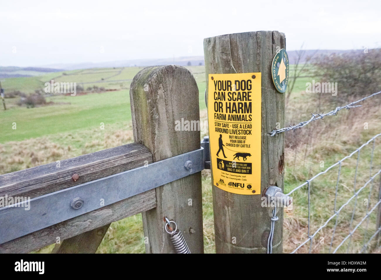 Your dog can harm farm animals hi-res stock photography and images - Alamy