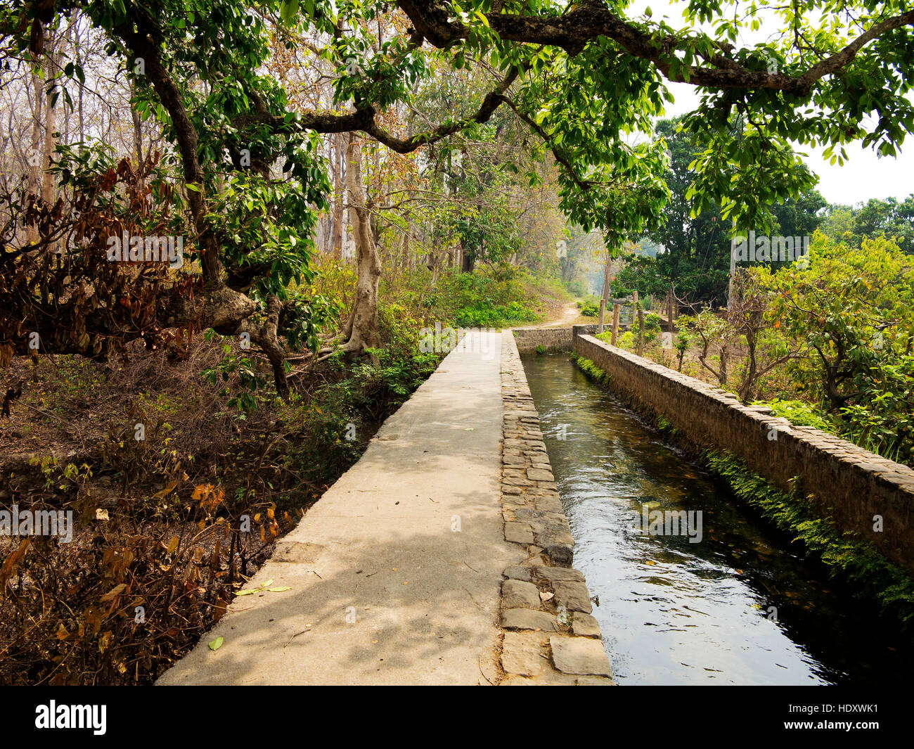 Boar Canal built by Sir Henry Ramsay in 1860, bordering the Jim Corbett ...