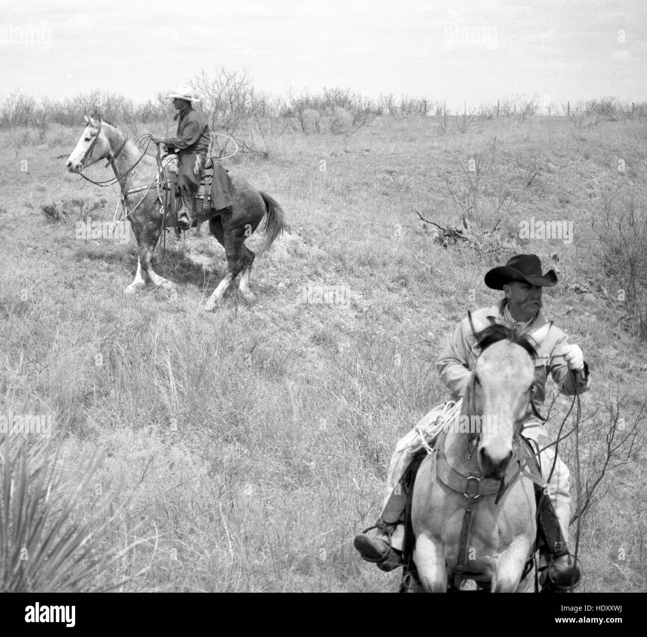 Black cowboys white old west hi-res stock photography and images - Alamy