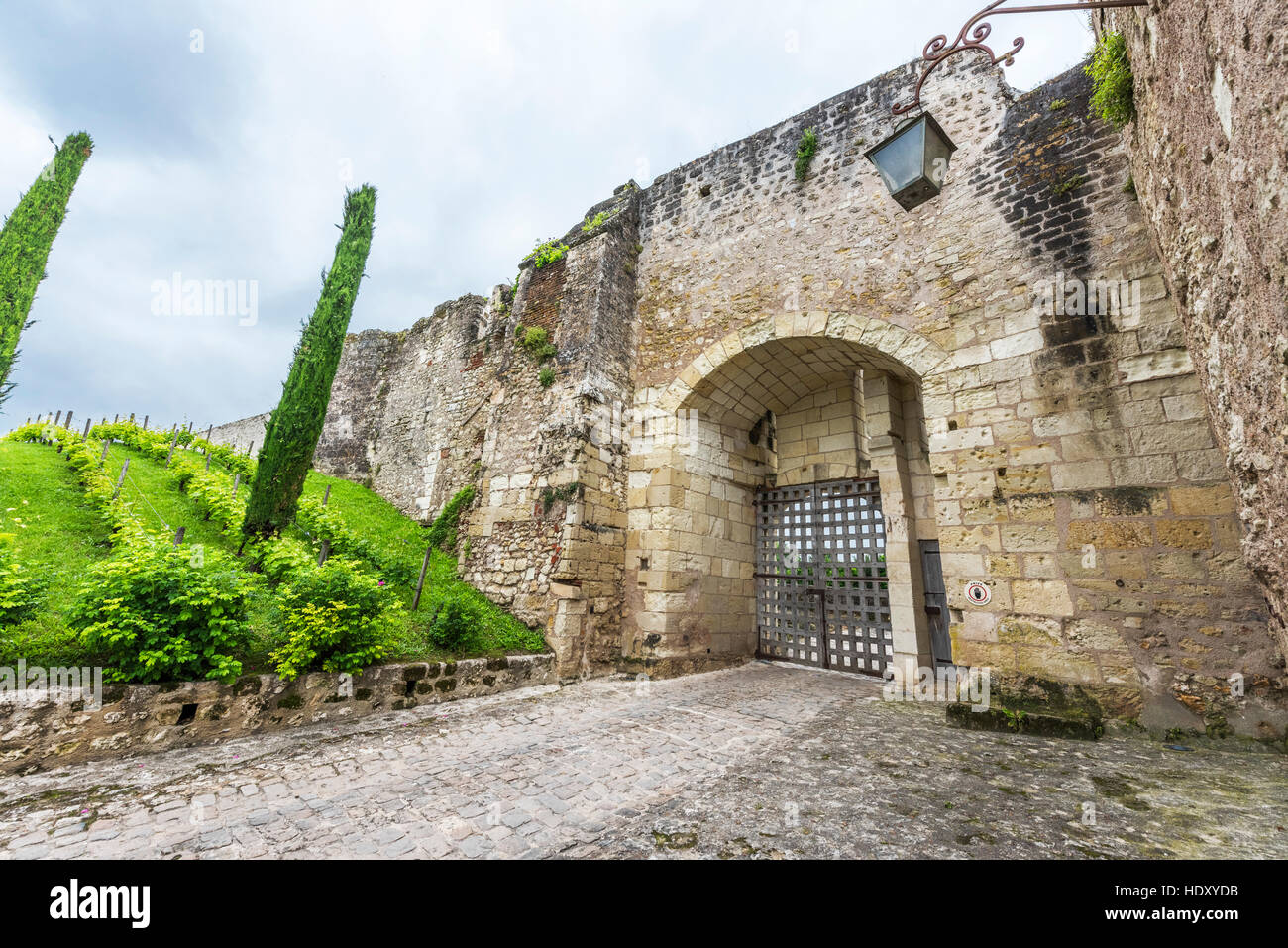 In the park of Amboise castle Stock Photo - Alamy
