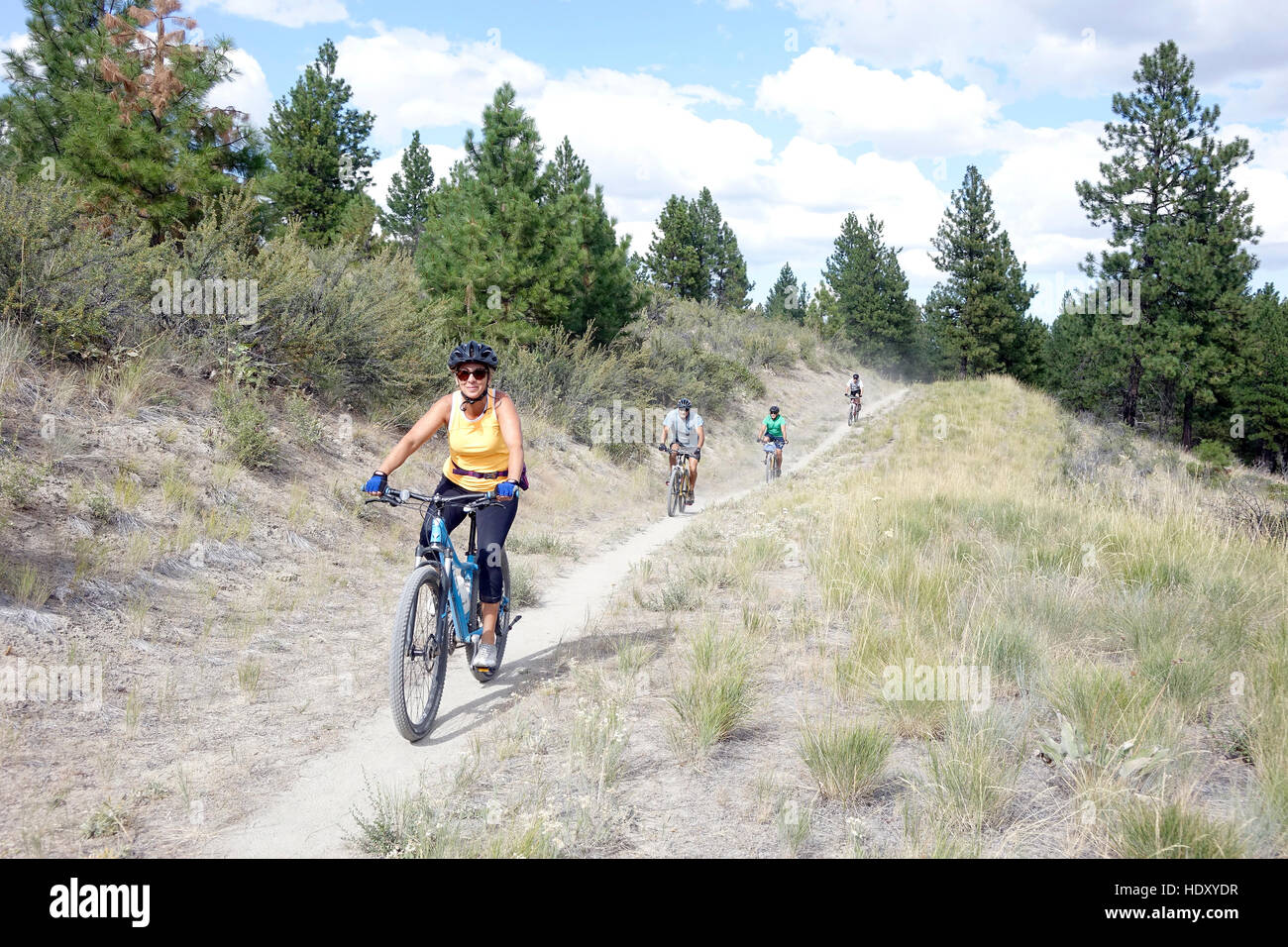 Mountain bike group Stock Photo - Alamy