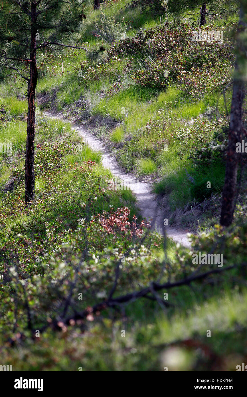 Singletrack trail hi-res stock photography and images - Alamy