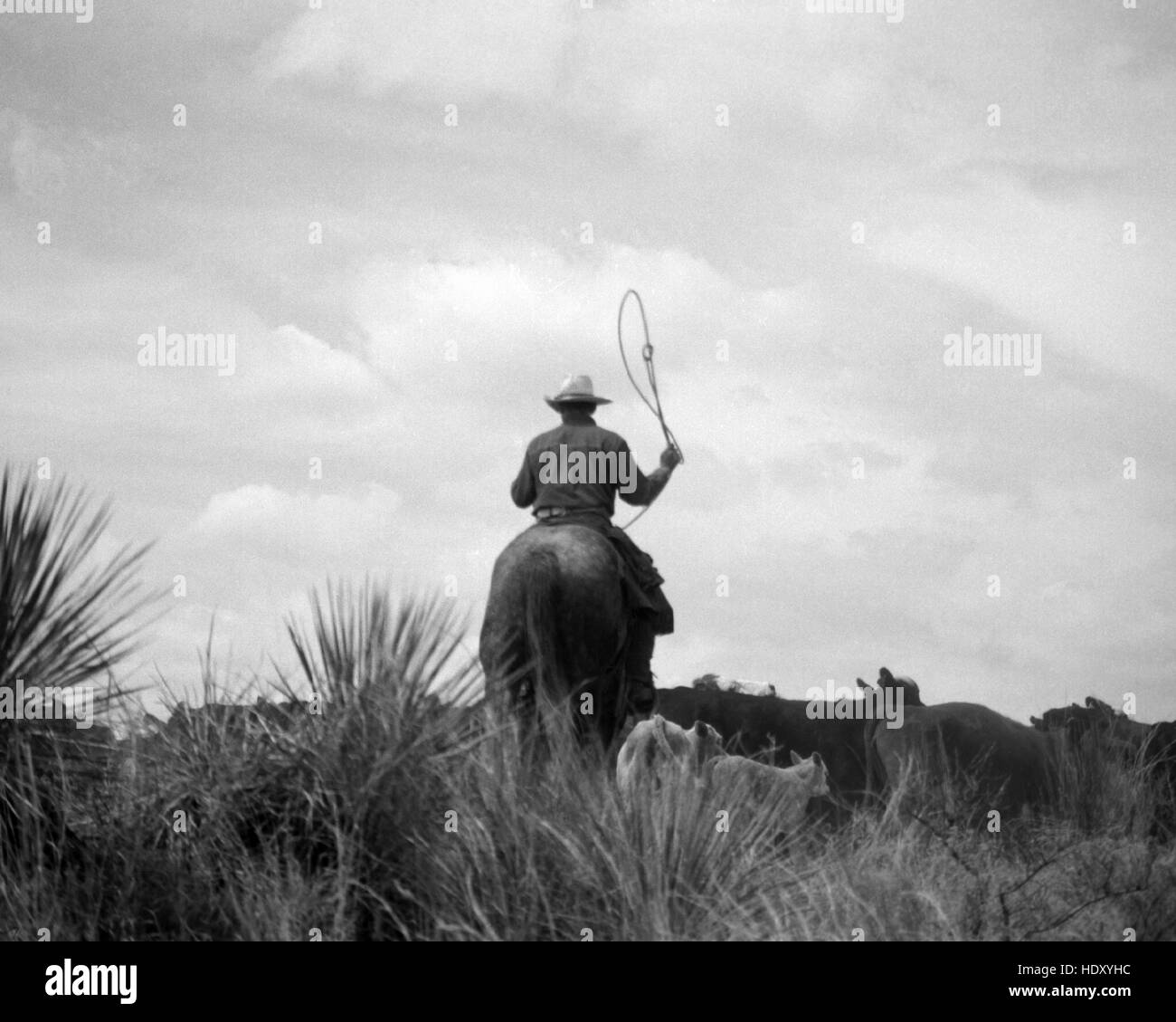 Western cowboys hi-res stock photography and images - Alamy