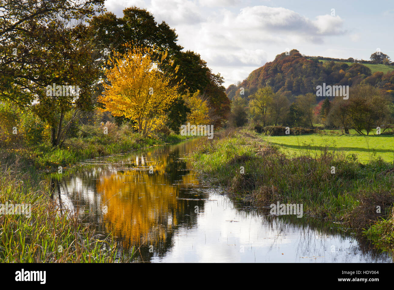 Welsh autumn hi-res stock photography and images - Alamy