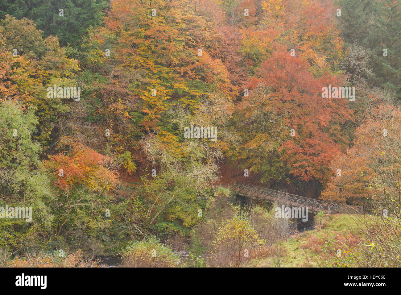 Wood river hi-res stock photography and images - Alamy