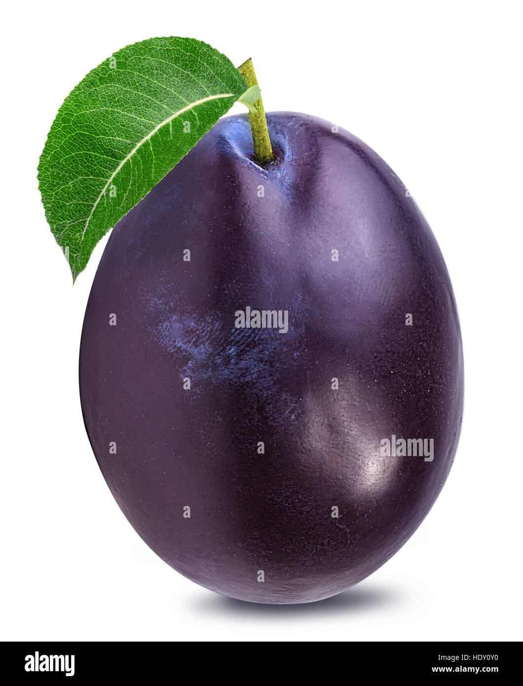 plum on a white background Stock Photo - Alamy