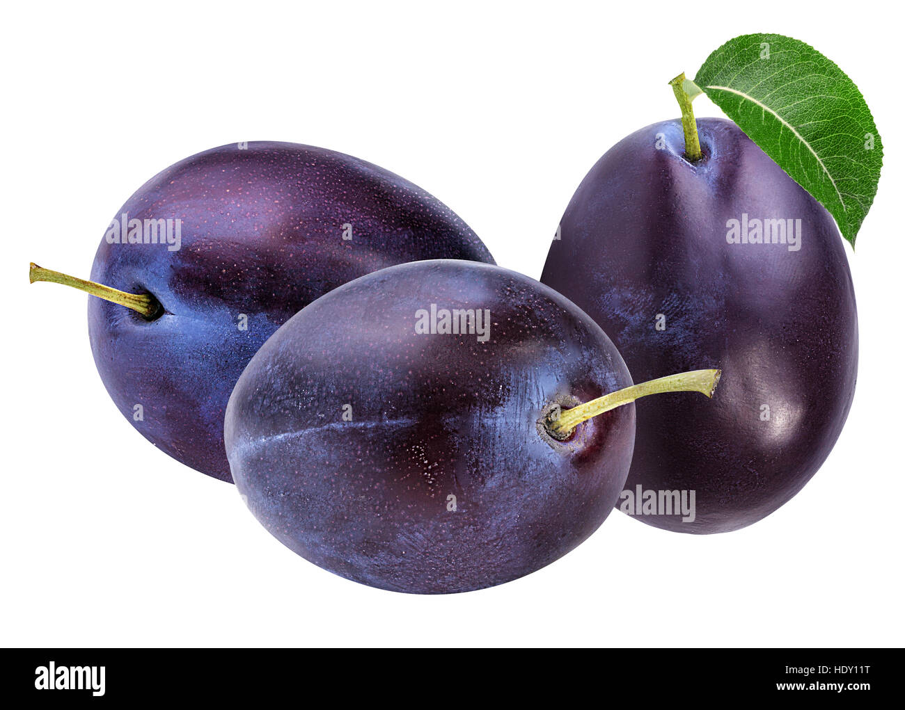 plum on a white background Stock Photo - Alamy