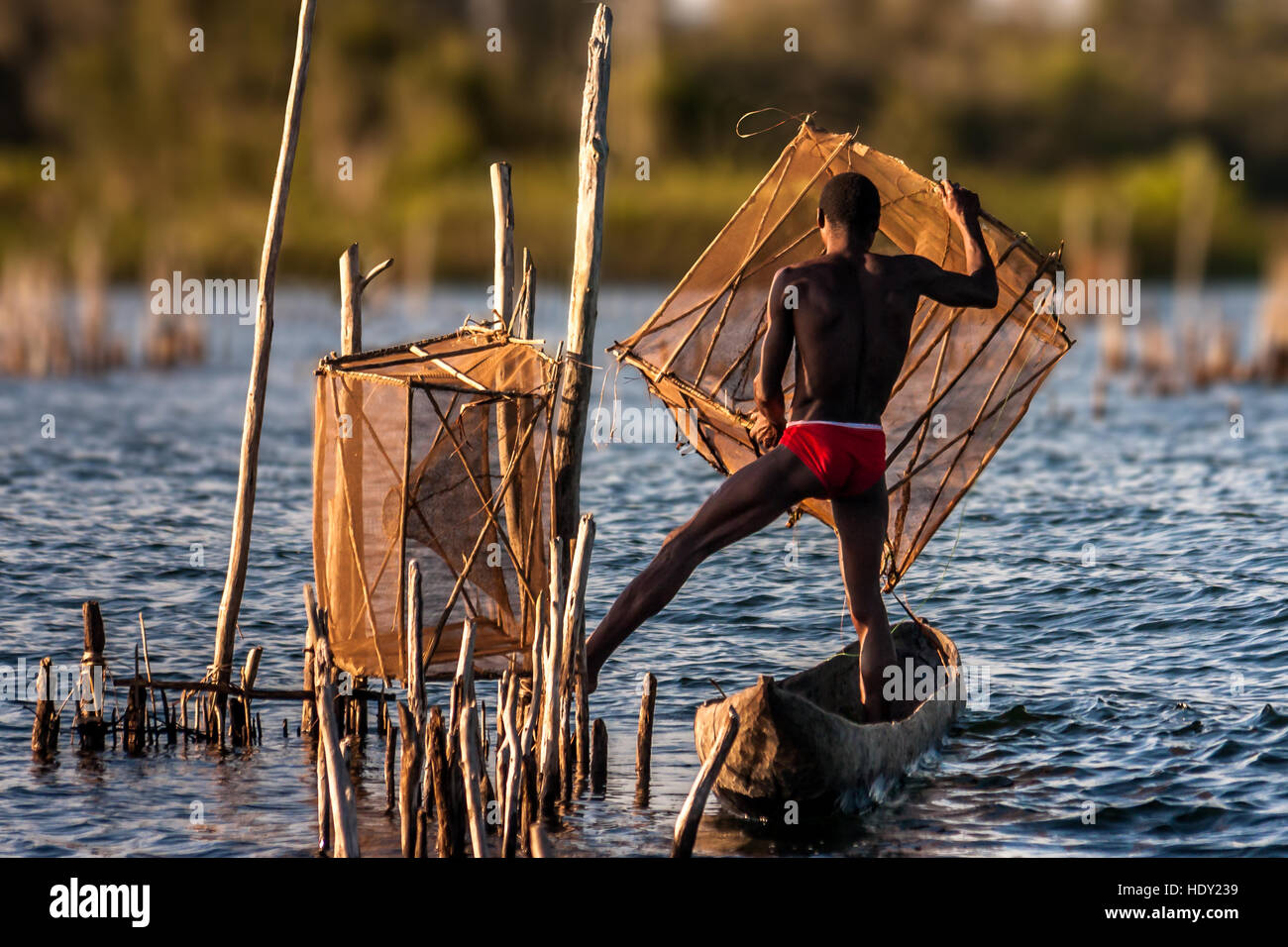 Shrimp fisher with fish trap in Pangalanes channel, Madagascar on Nov ...