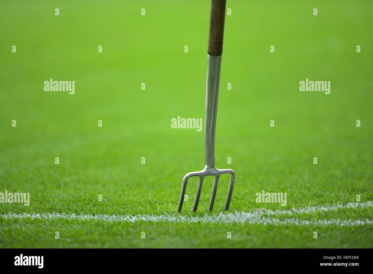 A fork placed in grass turf Stock Photo - Alamy