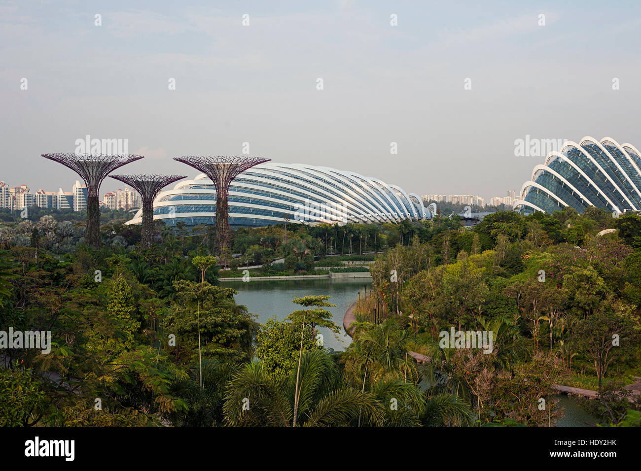 Tree supertrees hi-res stock photography and images - Alamy