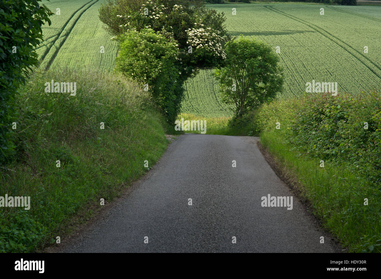 Road in farming countryside Stock Photo - Alamy