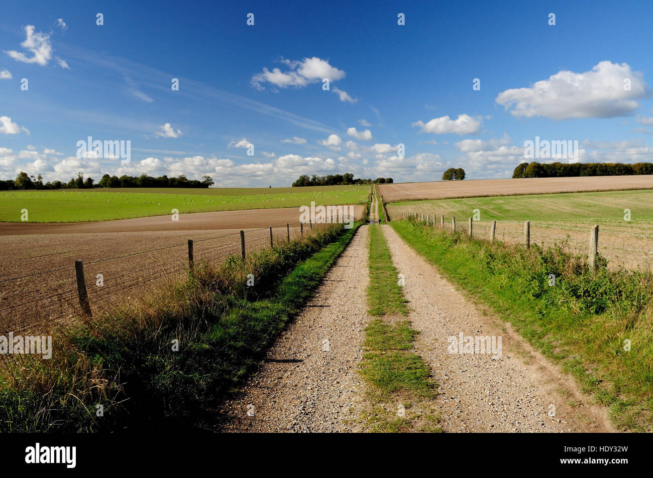 Track/byway leading to Old King Barrows, part of the Stonehenge World ...