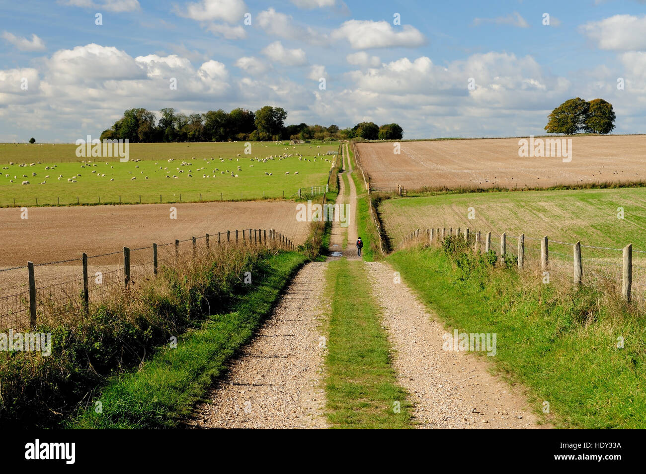 Walking path to stonehenge hi-res stock photography and images - Alamy