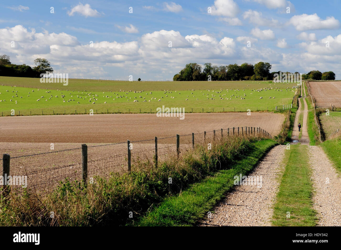 Walking path to stonehenge hi-res stock photography and images - Alamy